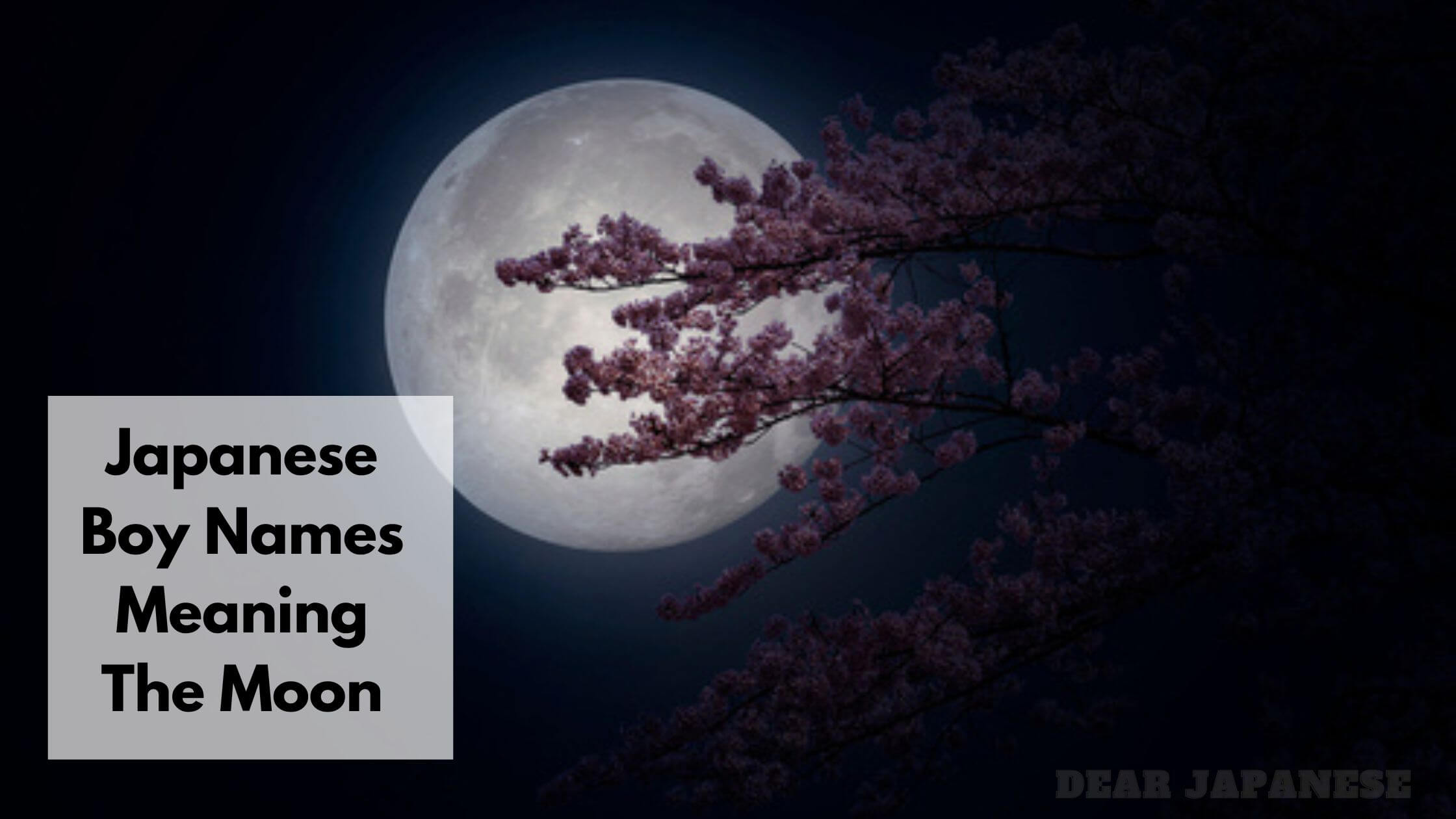 22 Beautiful Japanese Boy Names Meaning Moon Japan Truly 22 Beautiful Japanese Boy Names Meaning Moon Japan Truly