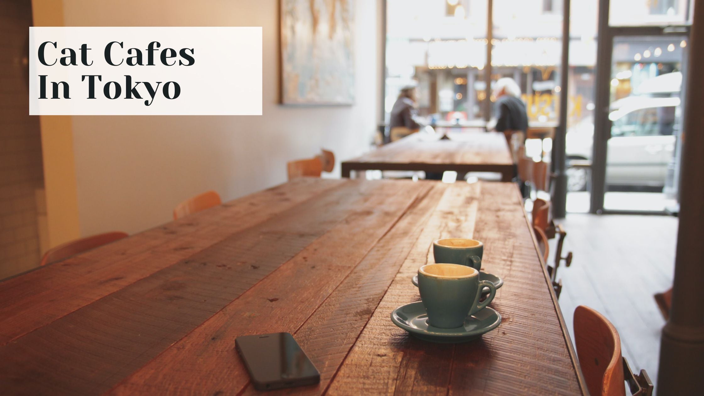 4 Famous Cat Cafes In Shibuya and Shinjuku at Tokyo For Cat Lovers 202 ...