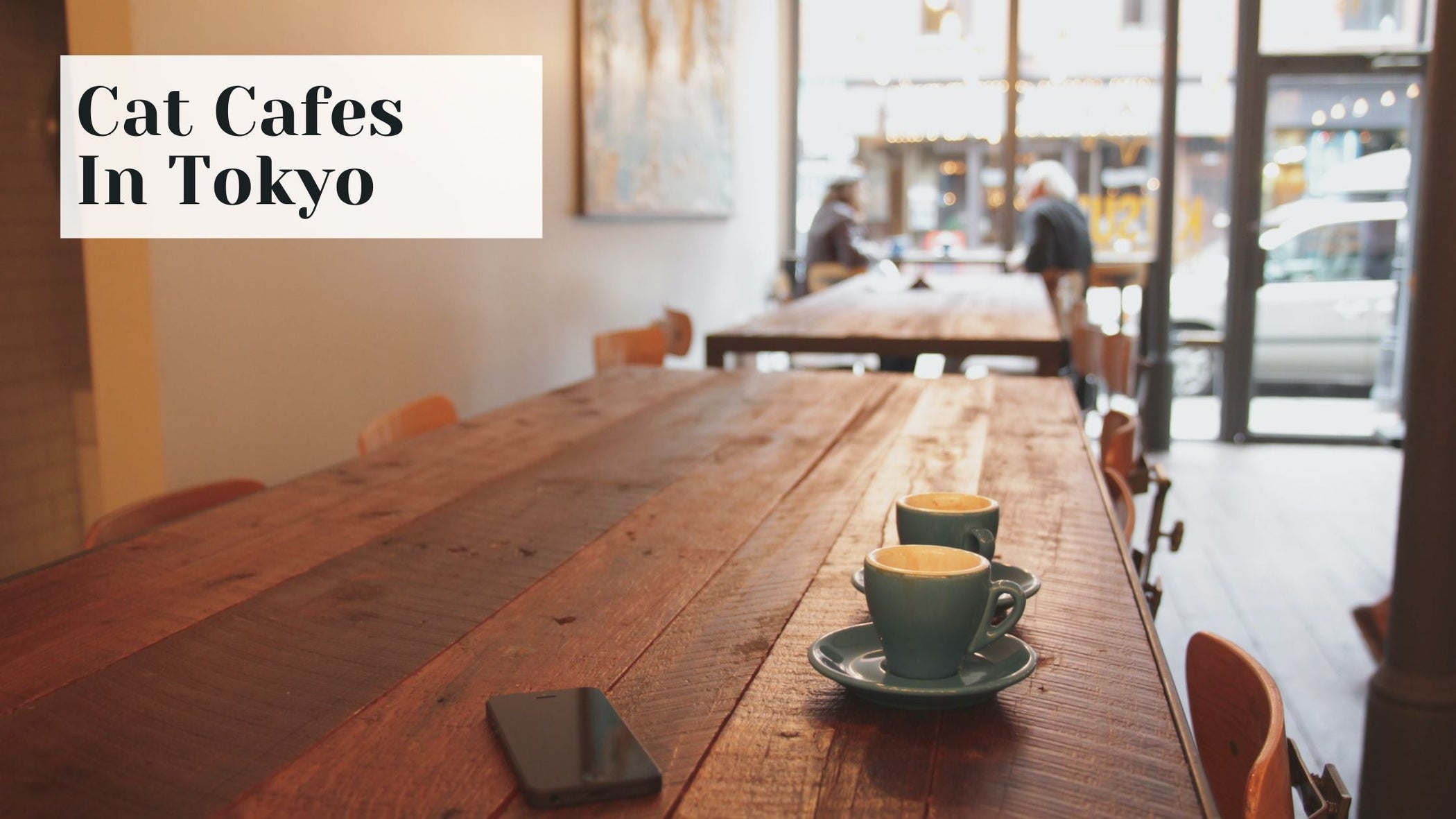 4 Famous Cat Cafes In Shibuya and Shinjuku at Tokyo For Cat Lovers 202 ...