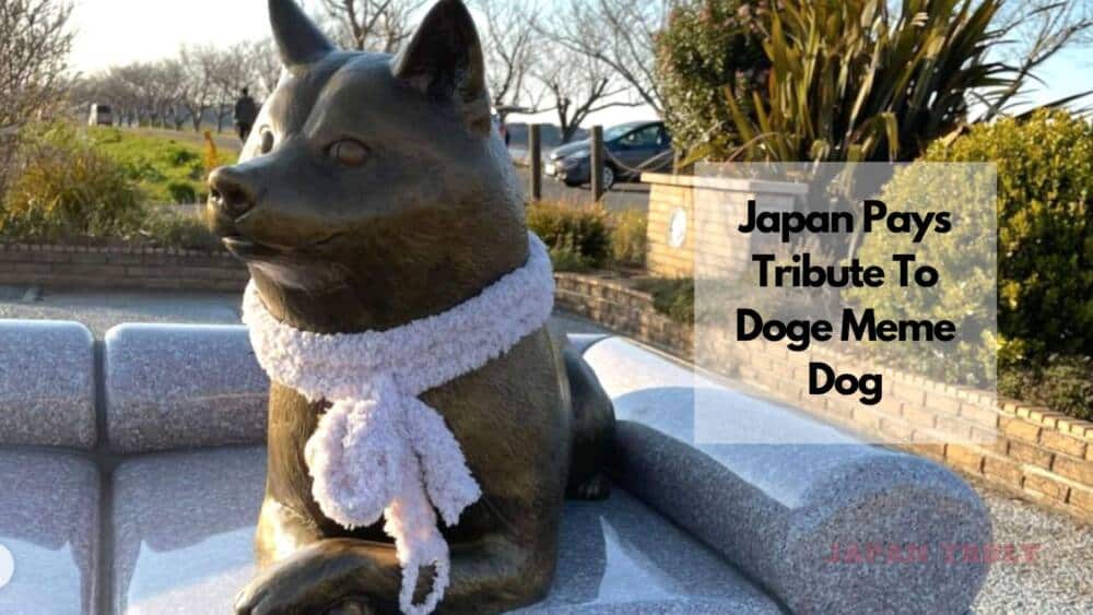 Japan Pays Tribute To Original Doge Meme Dog: Celebrating an Internet ...