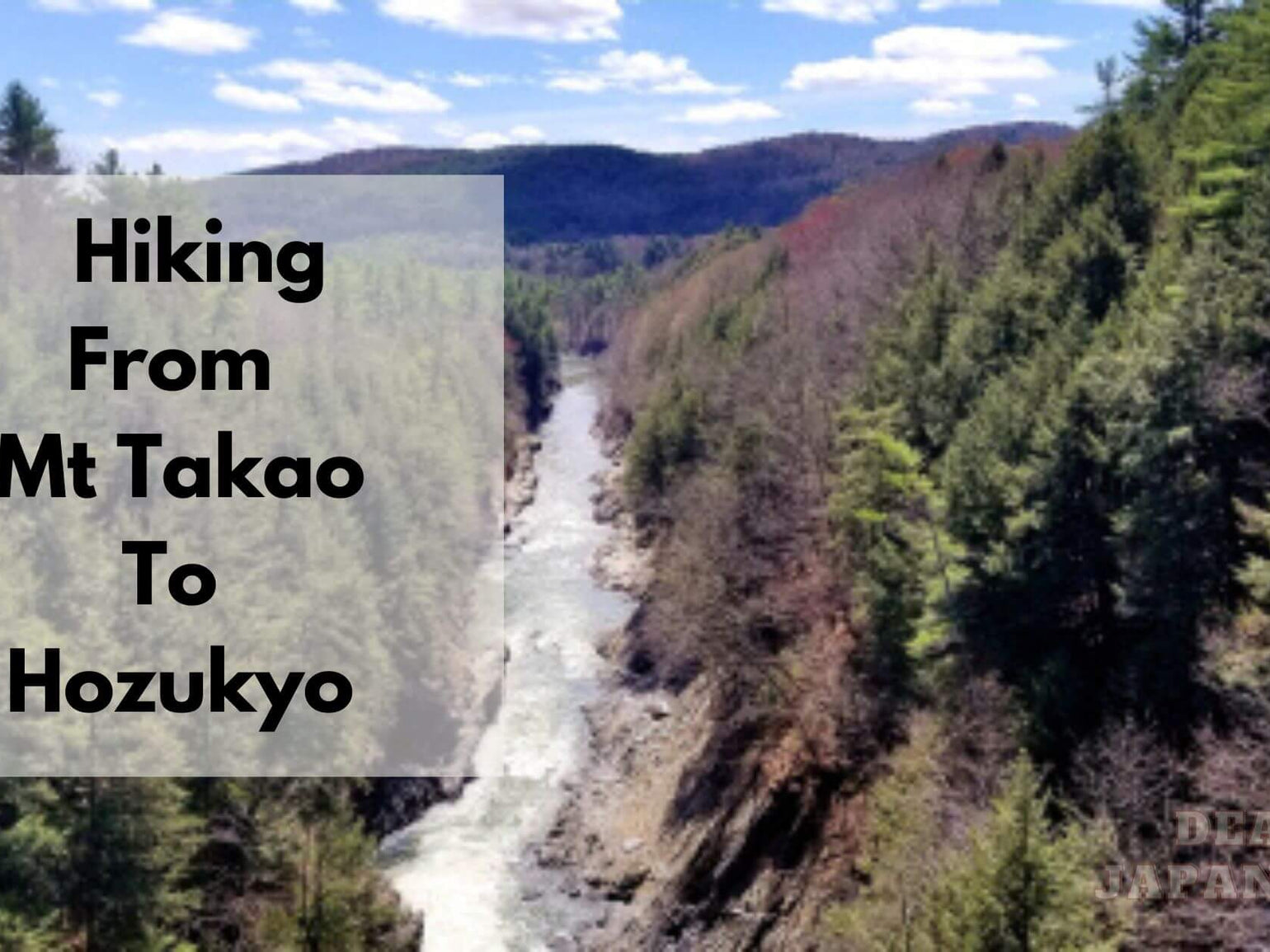 16 Easy Kid-Friendly Trails For Hiking In Japan – Japan Truly
