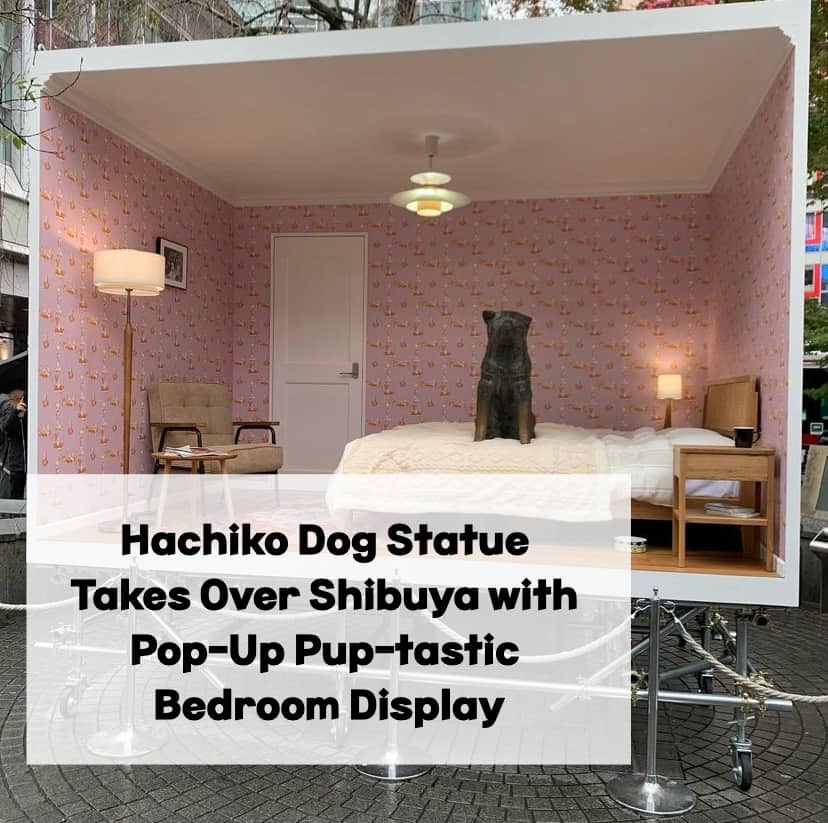 Hachiko Dog Statue Takes Over Shibuya with Pop-Up Pup-tastic Bedroom D ...