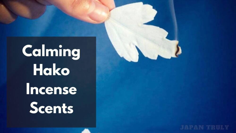 Types Of Hako Incense Scents | 9 Of Our Favorite HAKO Incense Scents ...