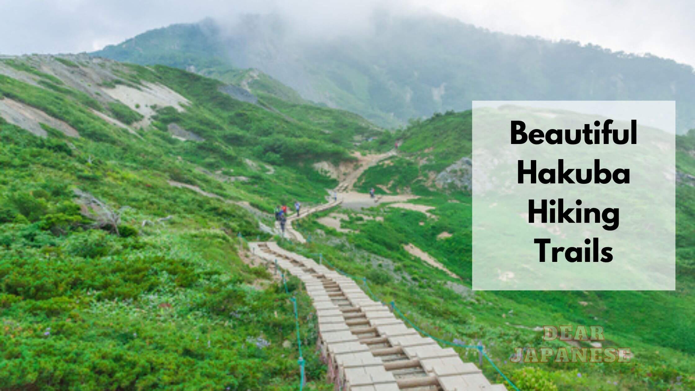 Where To Hike In Hakuba? | 10 Hakuba Hiking Trails – Japan Truly