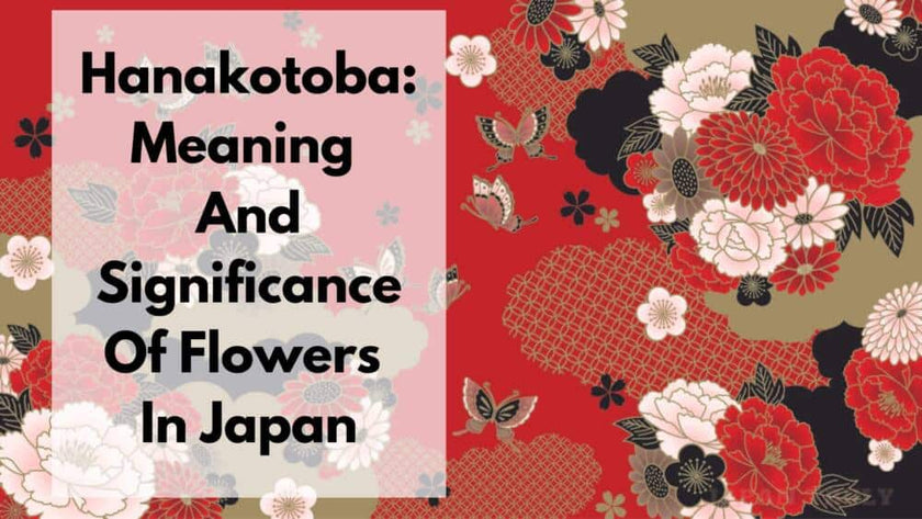 Hanakotoba: Meaning Of Flowers In Japanese – Japan Truly