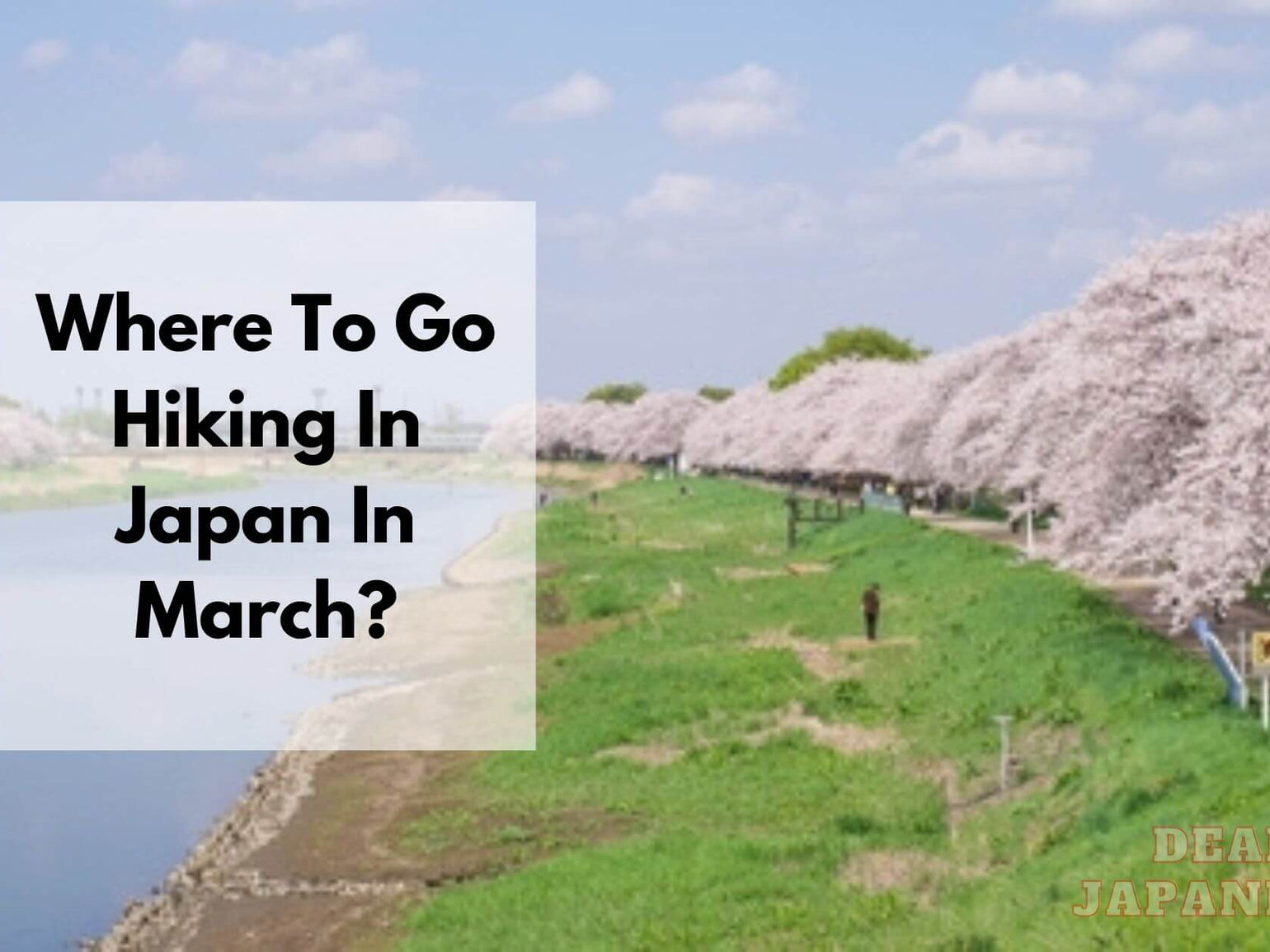 18 Non-touristy Things To Do In Japan – Japan Truly
