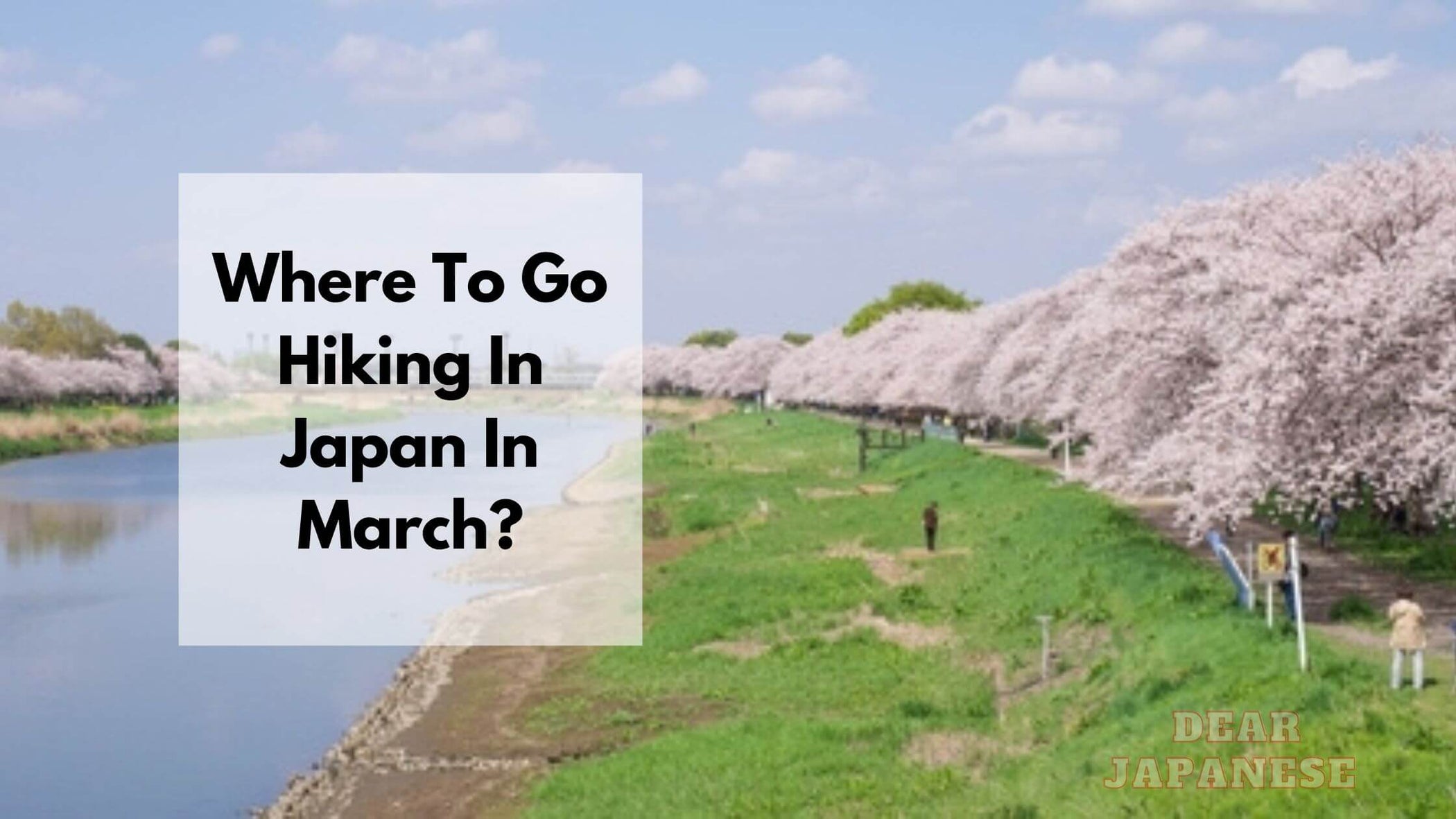 Where To Hike In Japan In March? | 15 Best Hikes In Japan For March ...