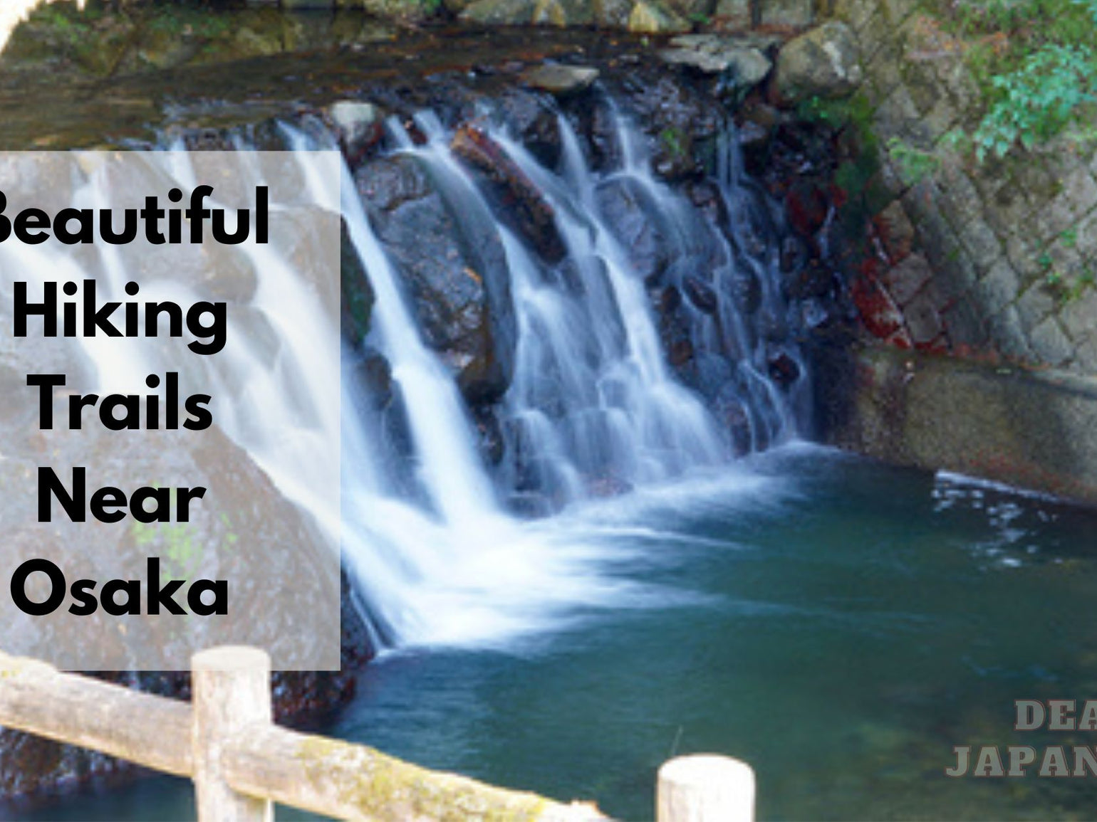 Guide To Hiking In Okinawa: Exploring Nature's Delights – Japan Truly