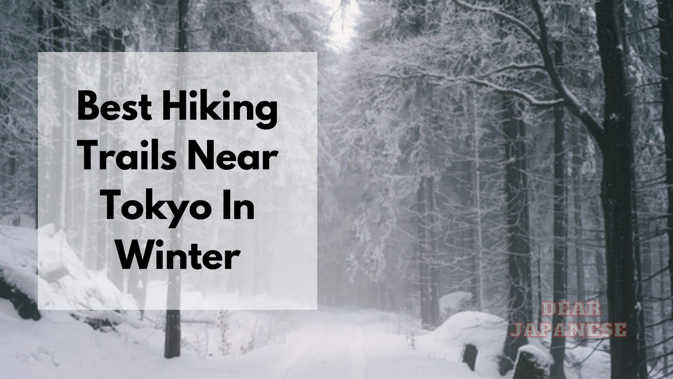 12 Best Trails For Hiking Near Tokyo In Winter In 2026 – Japan Truly