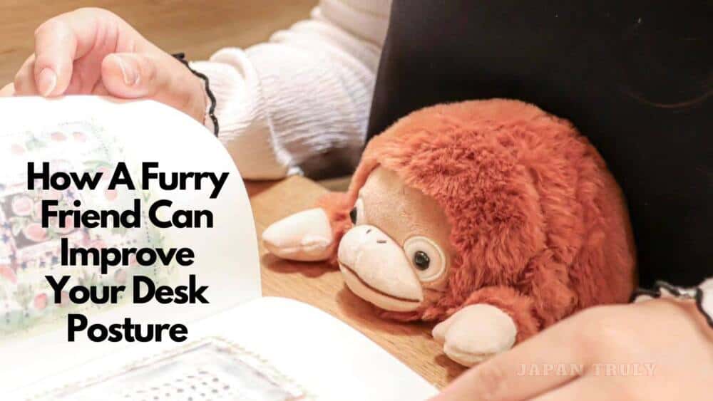 Are You a Sloucher? Discover How a Furry Friend Can Improve Your Desk ...