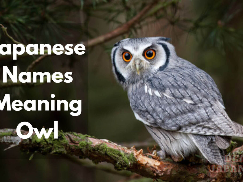 40 Japanese Names Meaning Spirit – Japan Truly