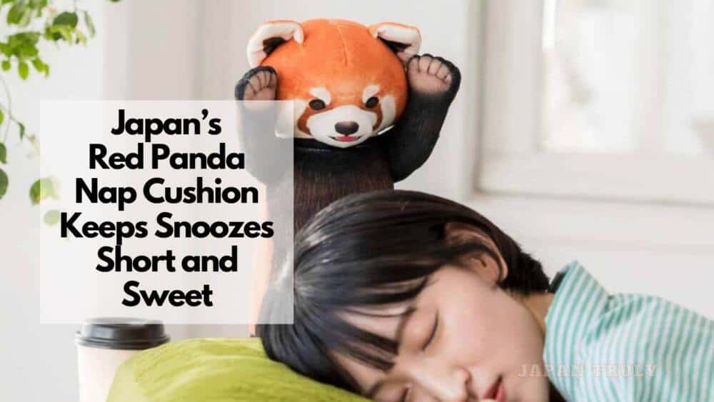 Never Oversleep Again: Japan’s Red Panda Nap Cushion Keeps Snoozes Sho ...