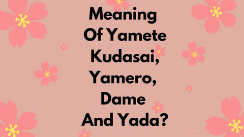 Meaning Of Yamete Kudasai, Yamero, Dame And Yada? – Japan Truly