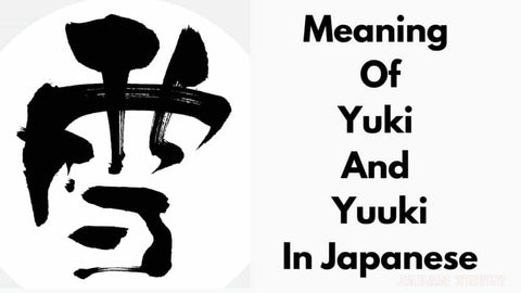 Meaning Of Yuki And Yuuki in Japanese | What Do The Names Yuki And Yuu ...