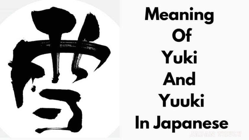 Meaning Of Yuki And Yuuki in Japanese | What Do The Names Yuki And Yuu ...
