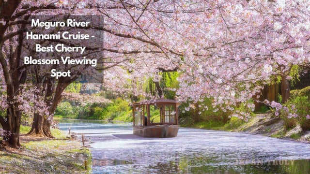 Most Popular Cherry Blossom Spot With Meguro River Hanami Cruise ...