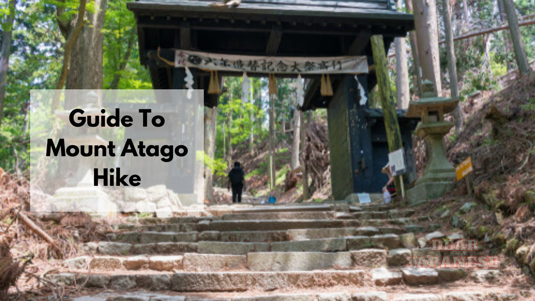 Ultimate Guide To Mt Atago Hike | Everything You Need To Know Before Y ...