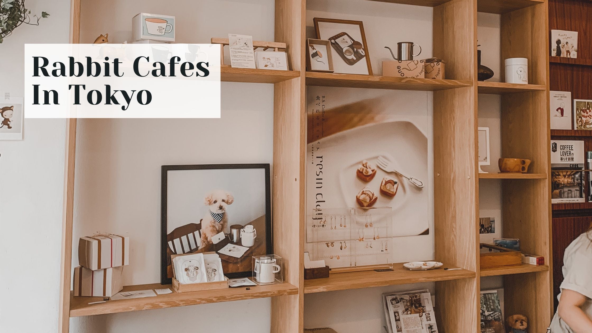 5 Rabbit Cafes In Tokyo For Cuteness Overload! – Japan Truly