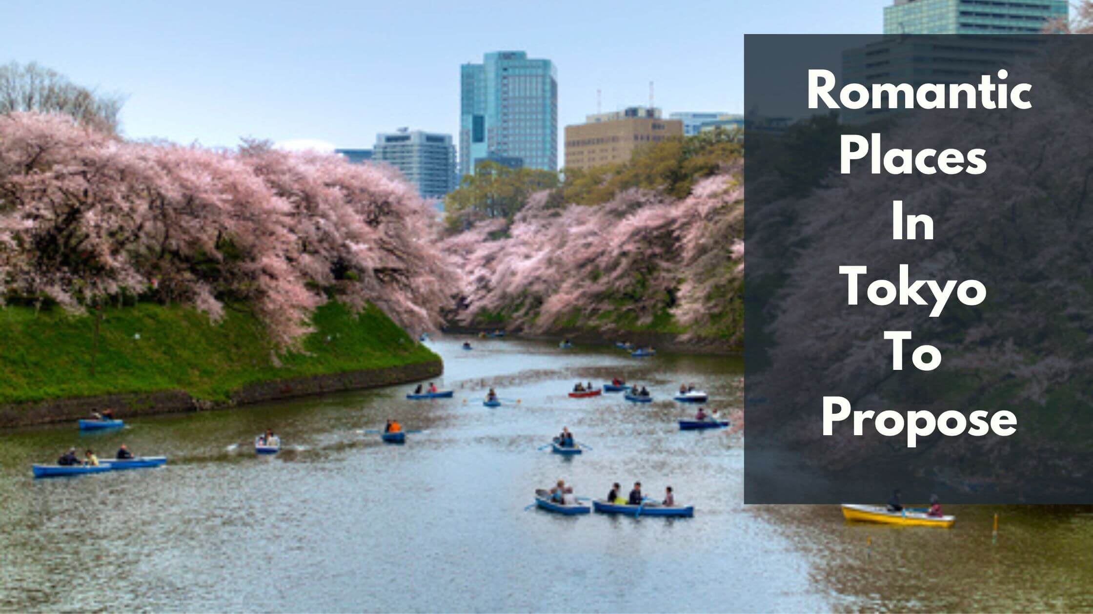 25 Most Romantic Places To Propose In Tokyo | Where To Propose In Toky ...