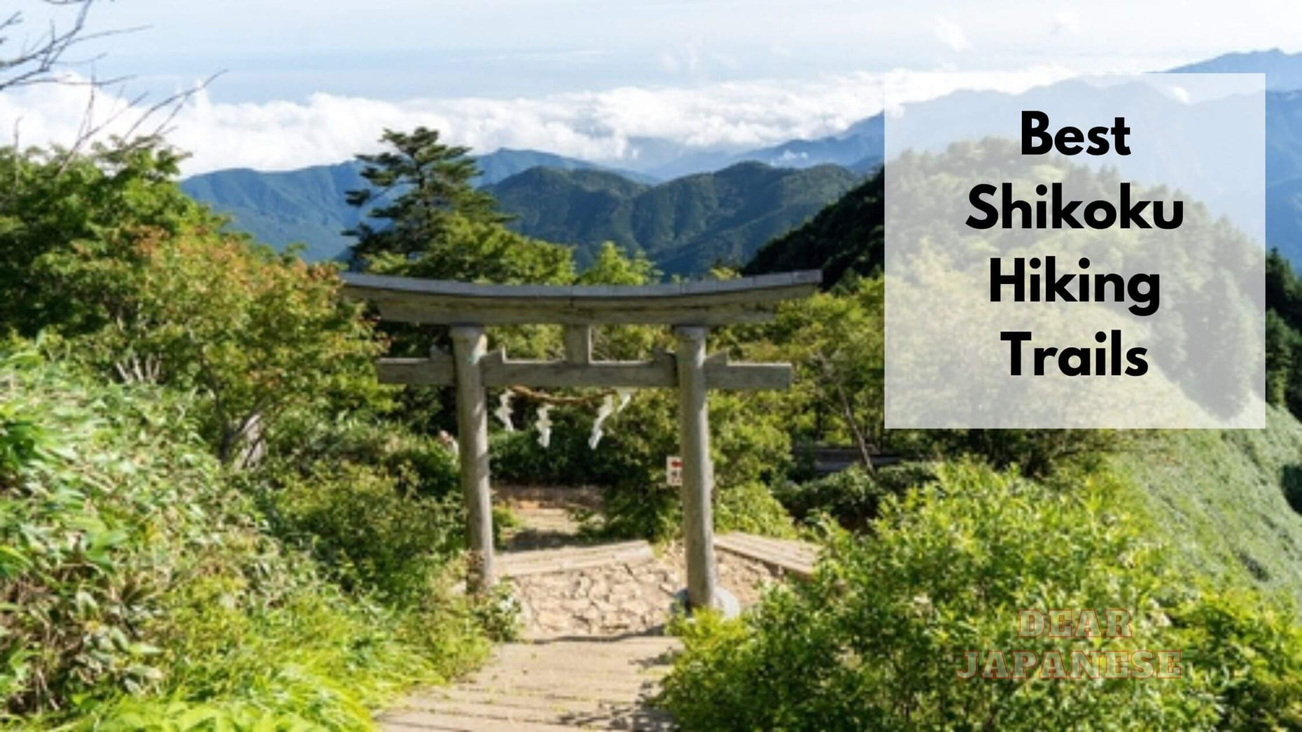 Shikoku Hiking Trails: Exploring Shikoku's Scenic Hiking Trails - Natu ...