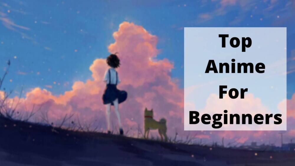 8 Best Anime for Beginners To Binge Watch 2025 – Japan Truly