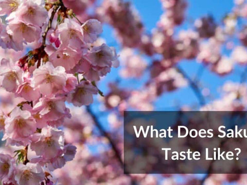 Learn – Tagged "what does sakura grape elf bar taste like" – Japan Truly