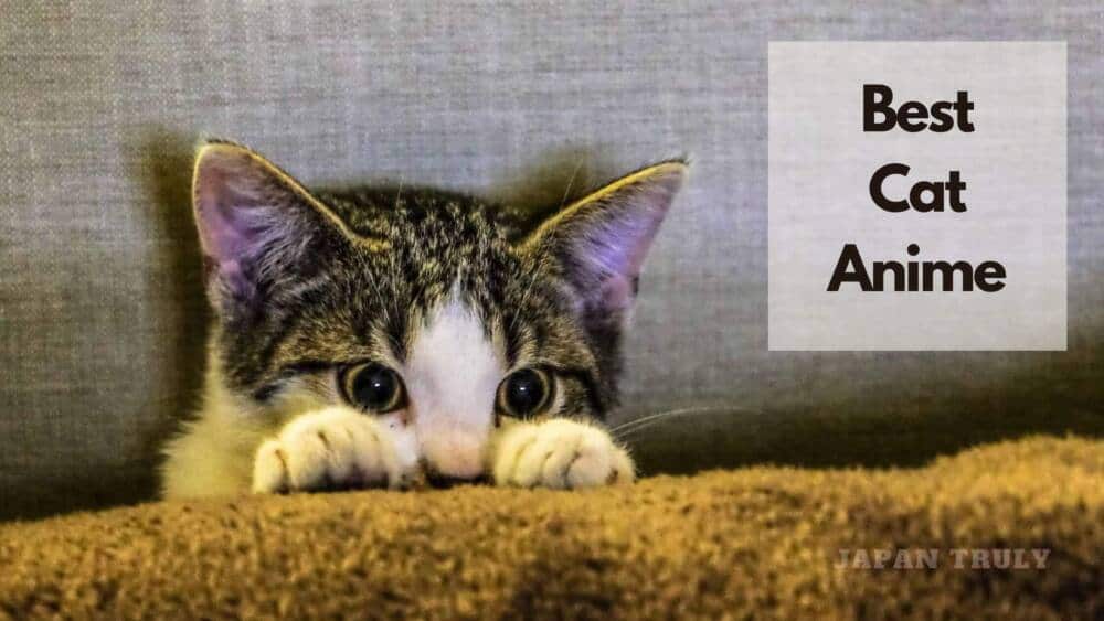 12 Must-watch Cat Anime For Cat Lovers 2025 | Favorite Anime Cats Of A ...