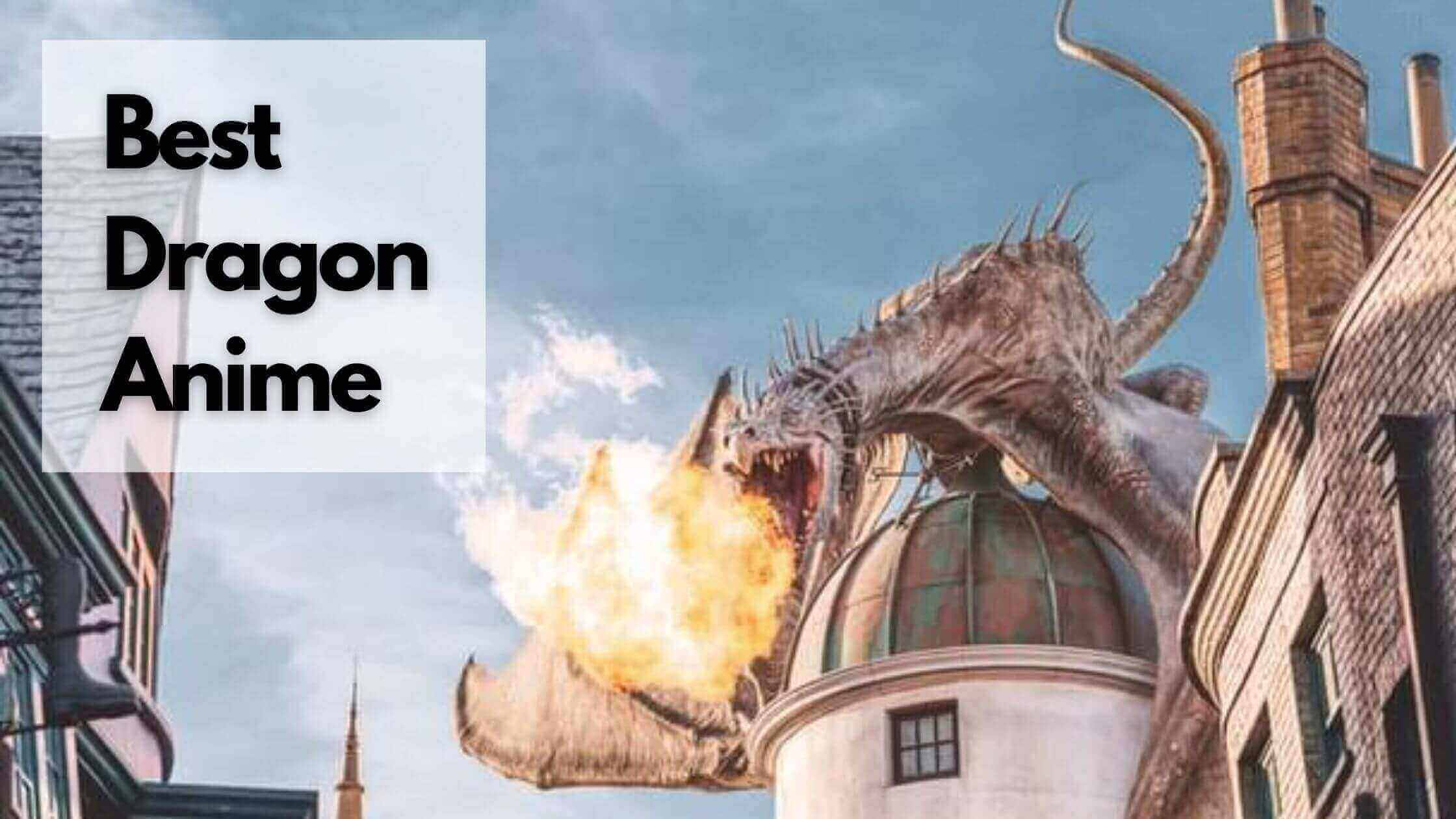 10+ Best Dragon Anime 2025| Fantastical Stories And Adventures Await Y ...