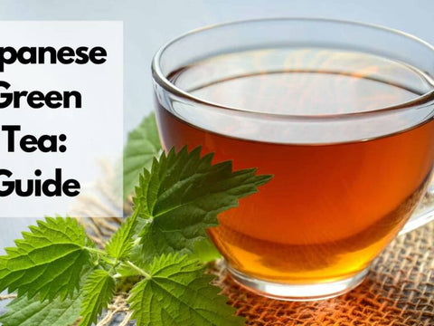 6 Best Japanese Anki Decks 2025 | Guide To Learning Japanese With Anki ...