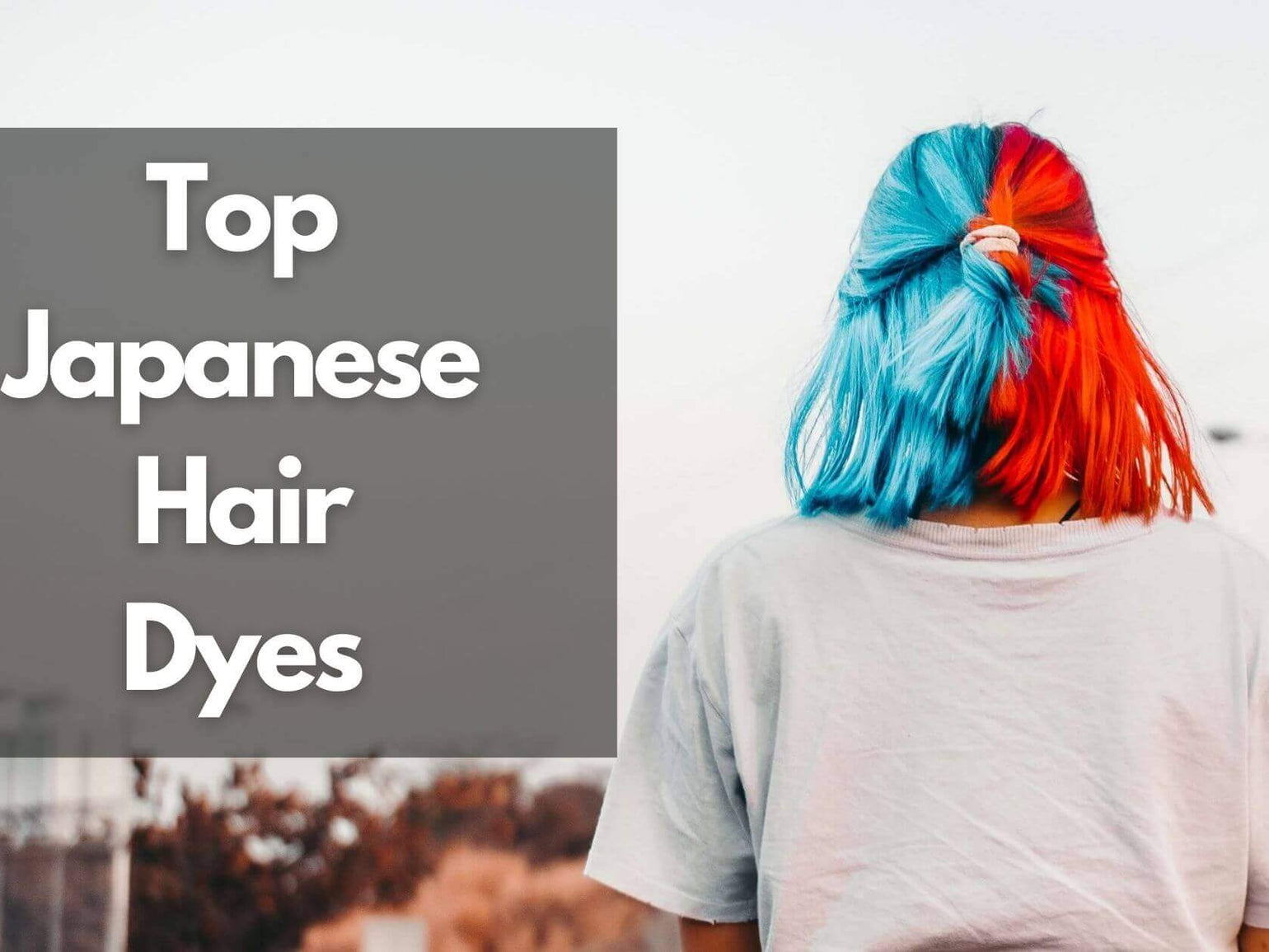 10 Best Japanese Hair Brushes 2025 – Japan Truly