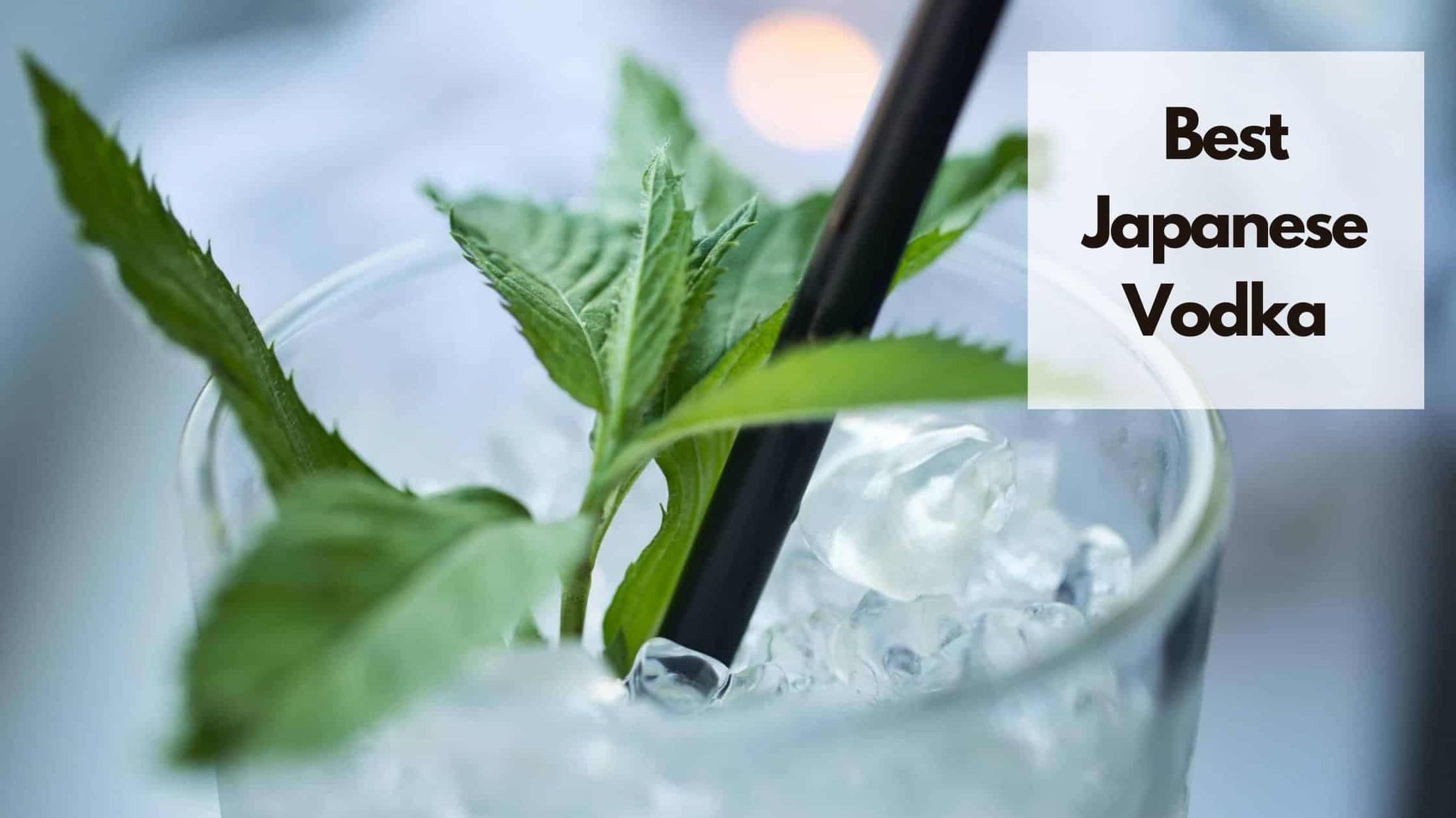12 Best Japanese Vodka 2026 – Japan Truly