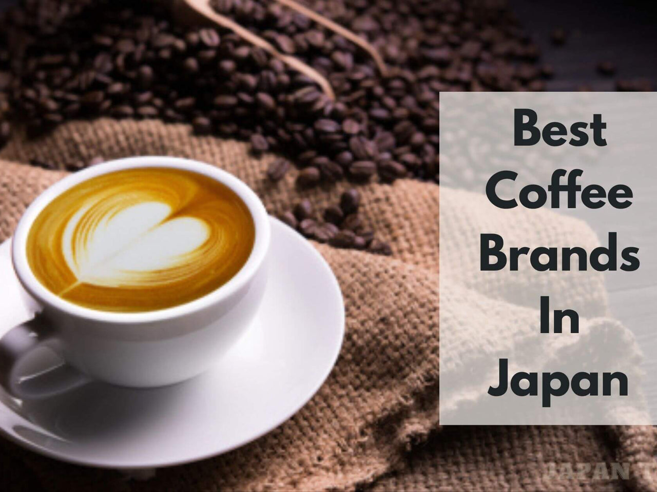 5 Best Umeshu Brands in Japan: A Guide to Premium Plum Wines – Japan Truly