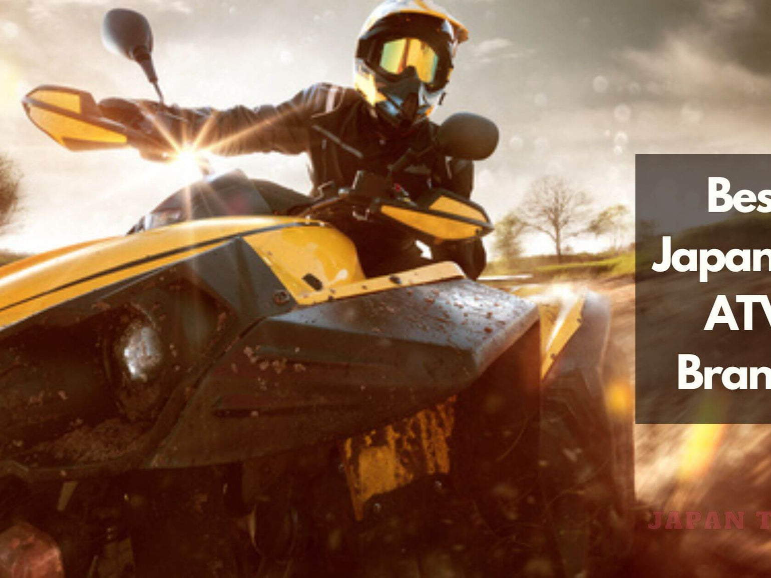 5 Best Japanese Running Shoe Brands For Ultimate Comfort and Durabilit ...