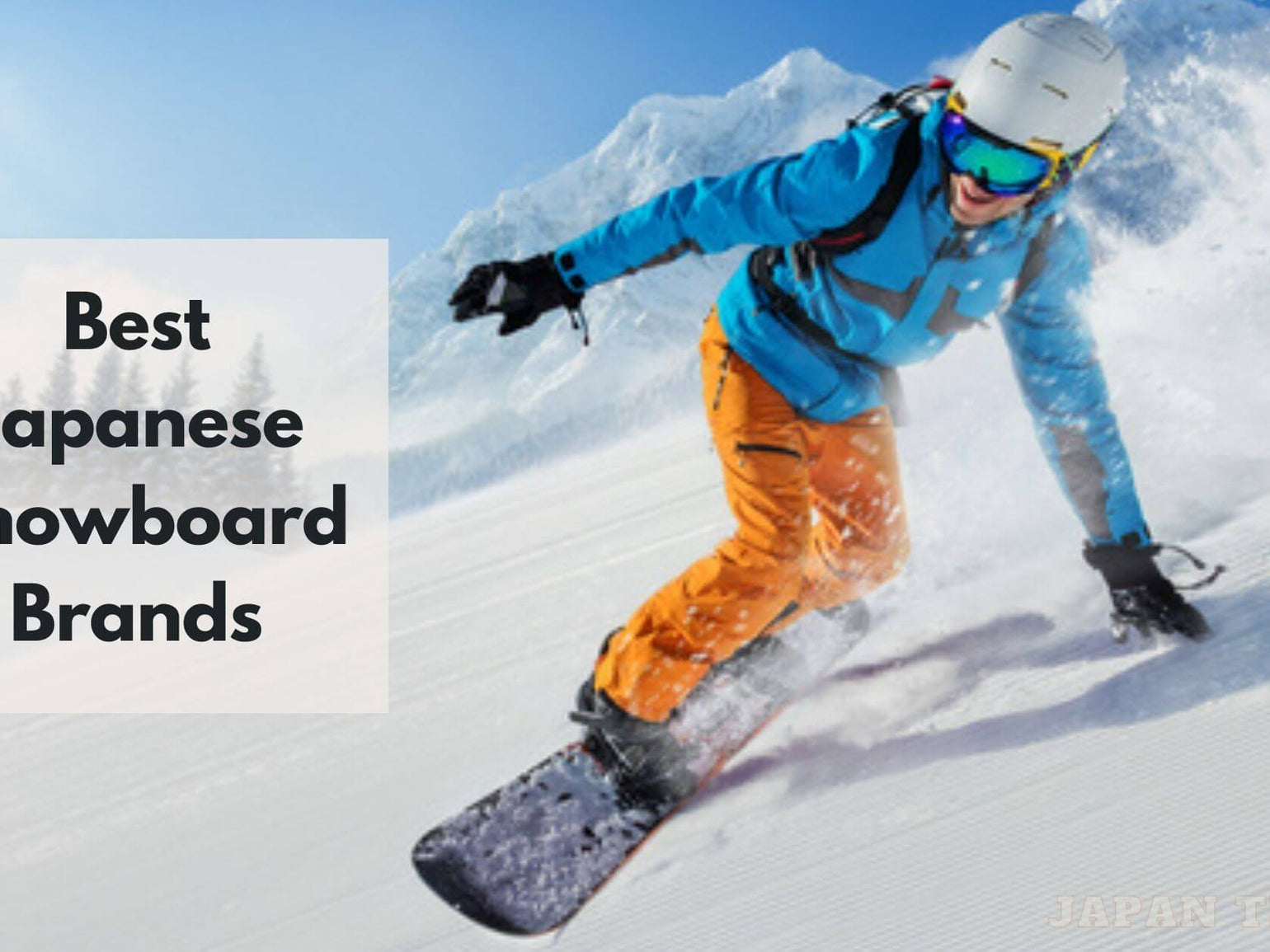 5 Best Umeshu Brands in Japan: A Guide to Premium Plum Wines – Japan Truly