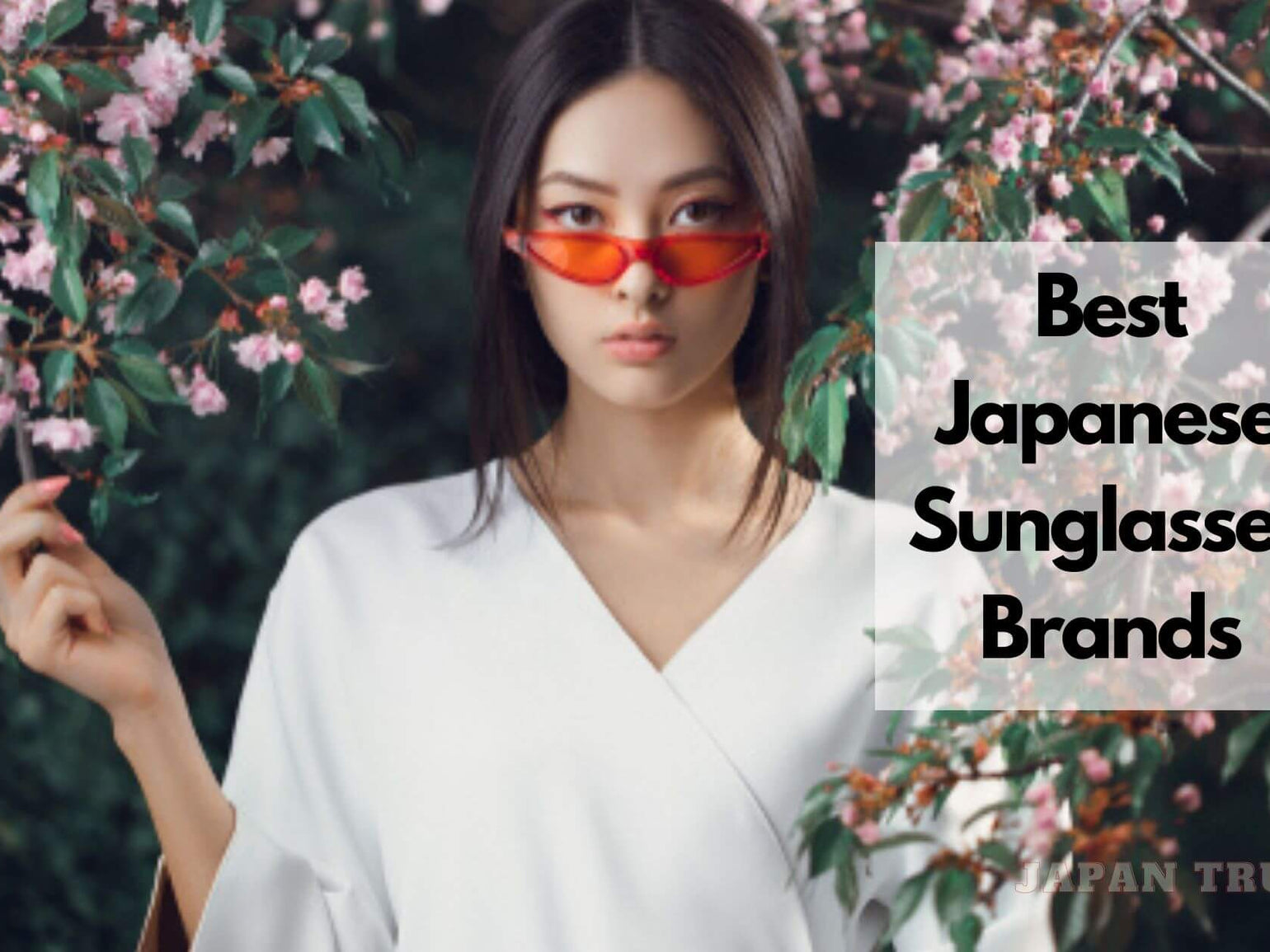 6 Best Japanese Anki Decks 2025 | Guide To Learning Japanese With Anki ...