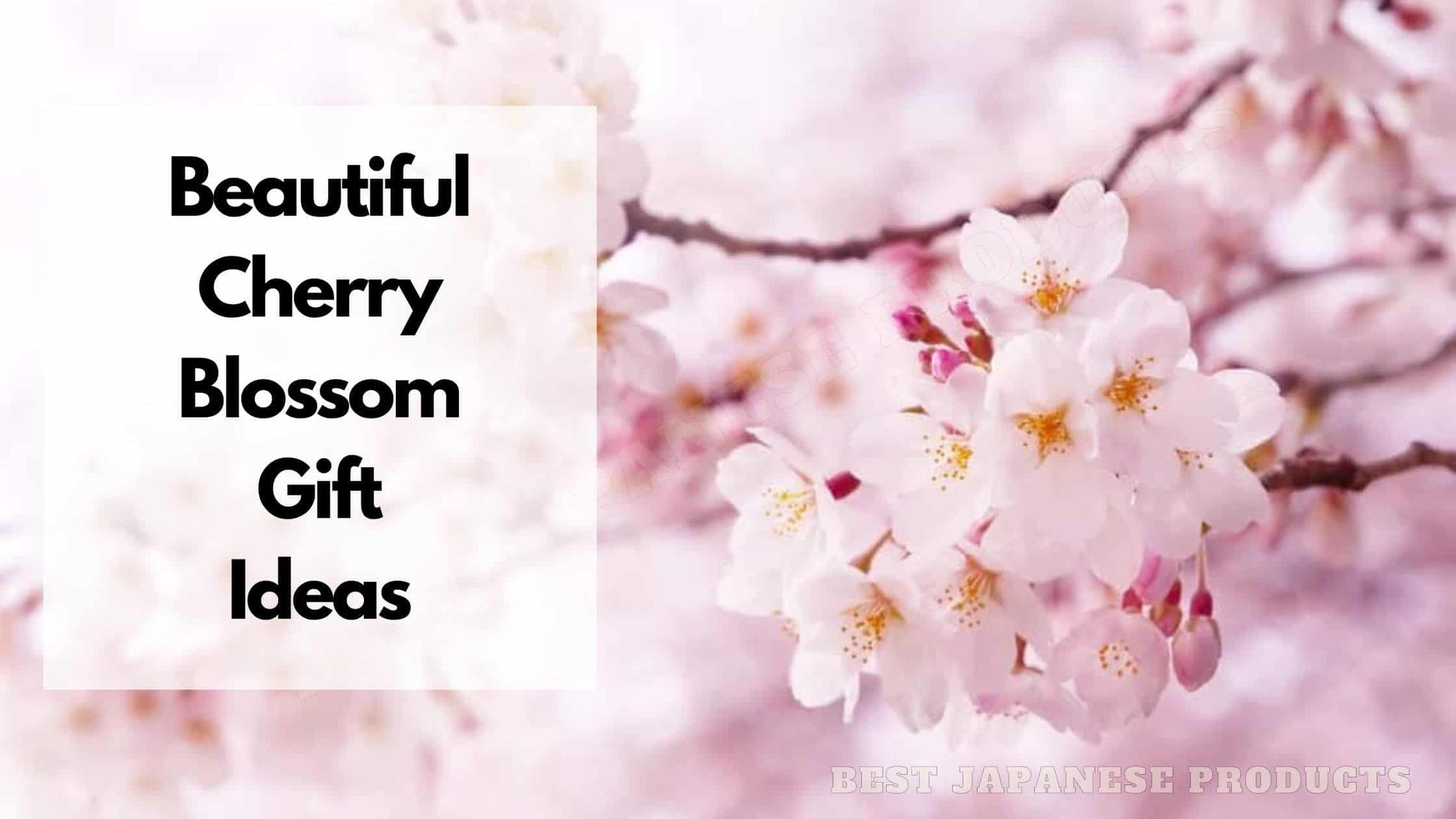 20 Beautiful Cherry Blossom Gift Ideas For Souvenirs | Sakura-themed G ...