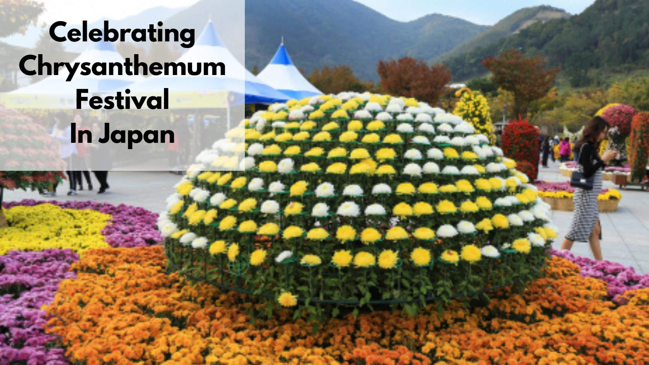 Chou you no Sekku Or Chrysanthemum Festival In Japan: What Is It? And ...