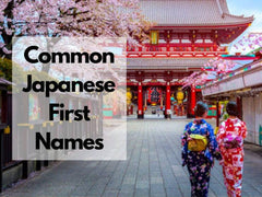 Names – Tagged "japanese boy names" – Japan Truly