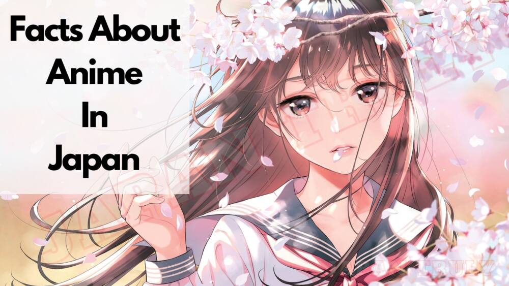 8 Shocking Facts About Anime In Japan – Japan Truly