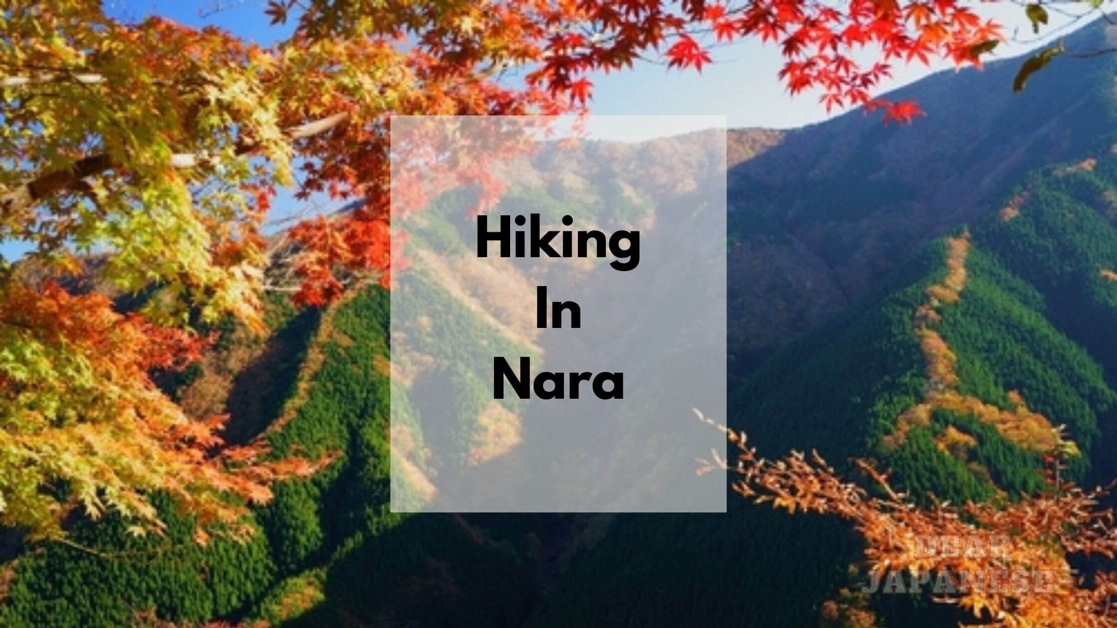 Where To Go Hiking In Nara? | Discover the Beauty of Nature In Nara ...