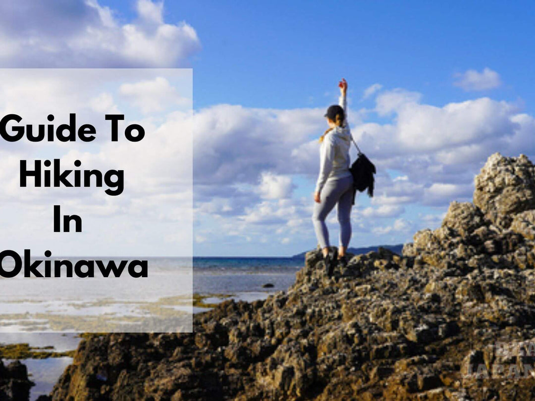 Where To Hike In Hakuba? | 10 Hakuba Hiking Trails – Japan Truly