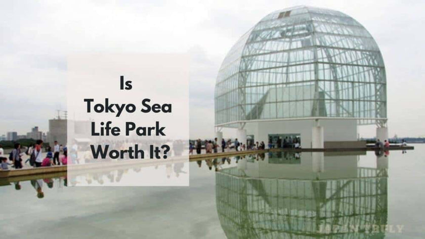 Is Tokyo Sea Life Park Worth It? – Japan Truly