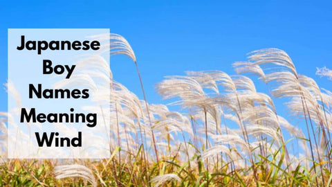 30 Amazing Japanese Boy Names Meaning Wind – Japan Truly