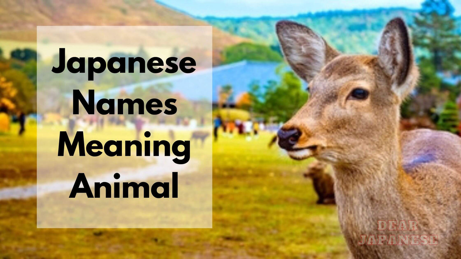 30 Japanese Names Meaning Animal – Japan Truly