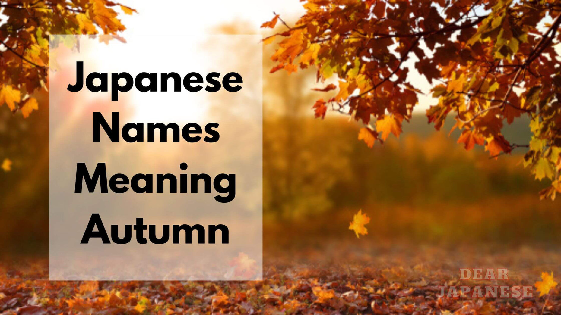 30 Japanese Names Meaning Autumn – Japan Truly