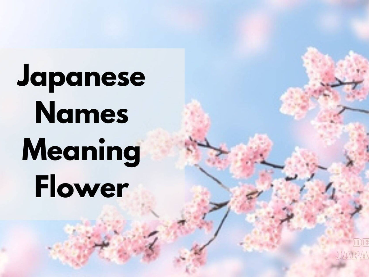 40 Japanese Names Meaning Eclipse – Japan Truly