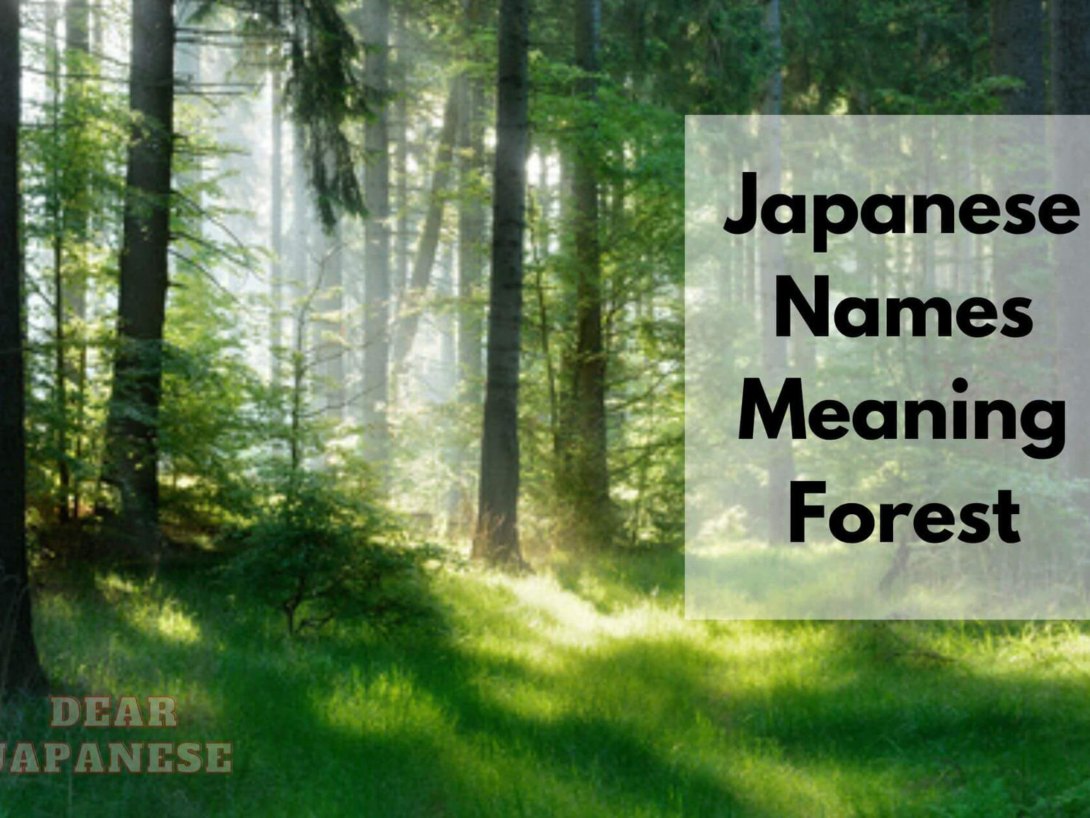 60 Cool Japanese Names Associated With Winter Season | Winter Japanese ...