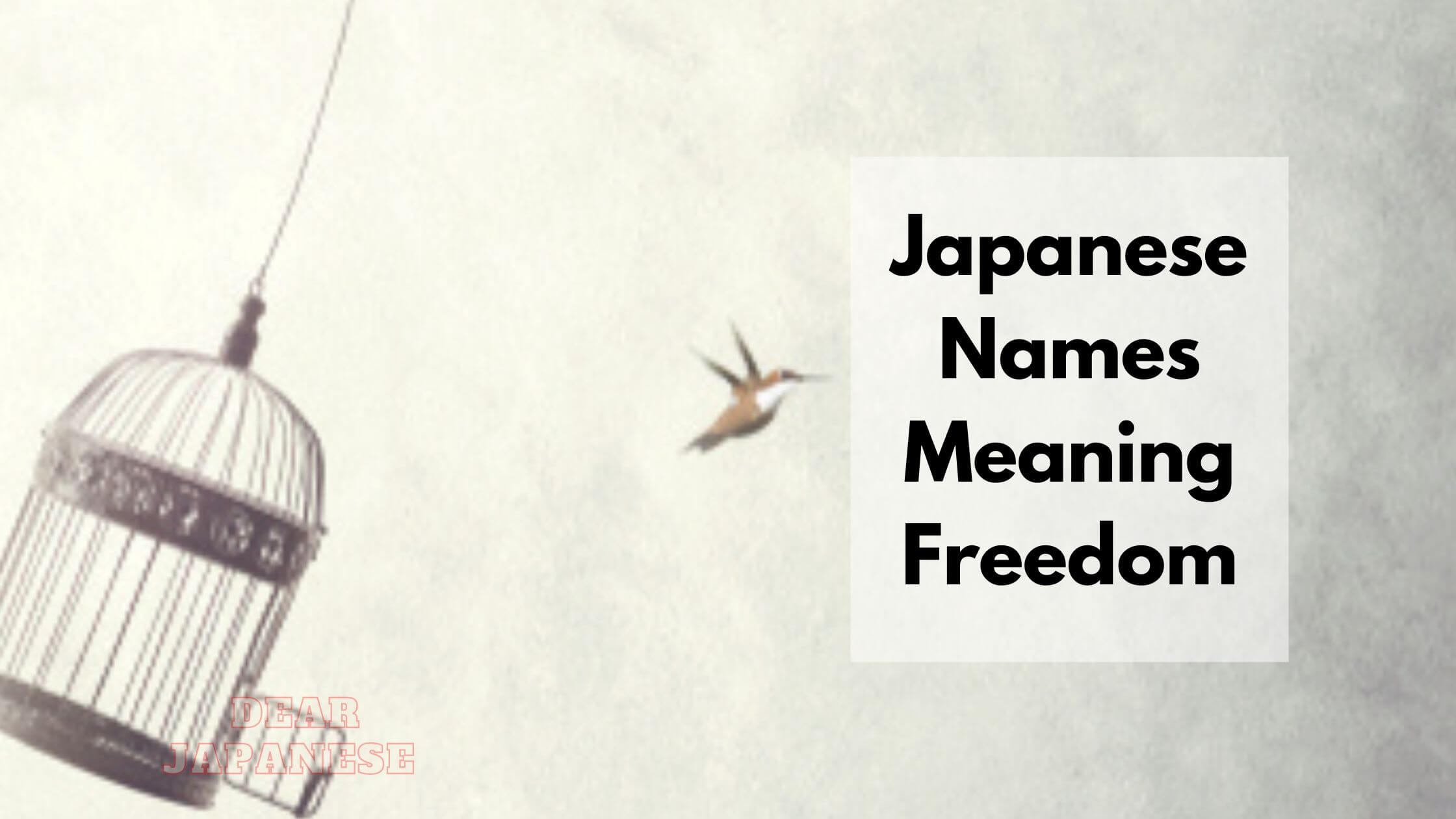 40 Japanese Names Meaning Freedom – Japan Truly
