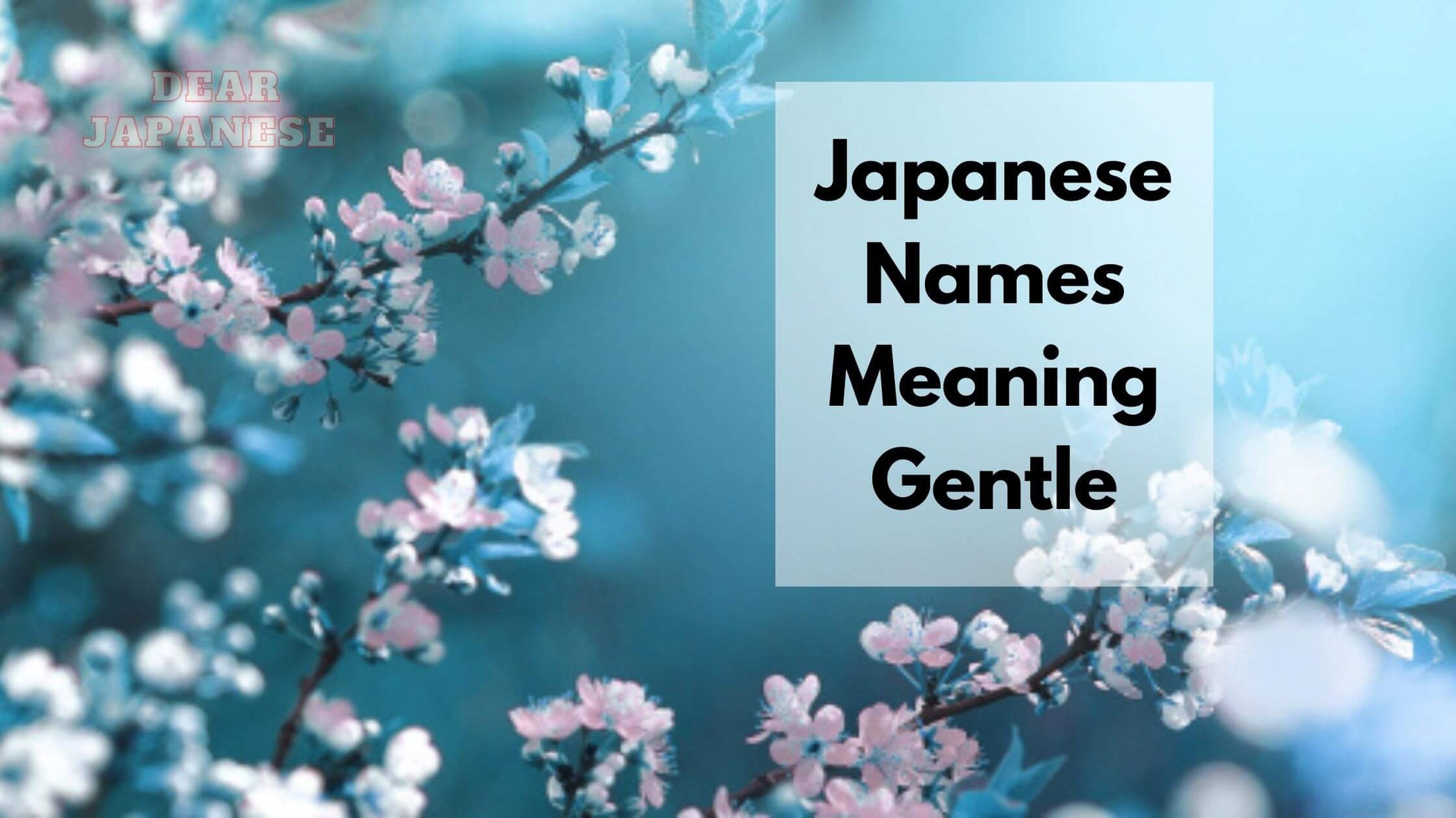 40 Japanese Names Meaning Gentle – Japan Truly