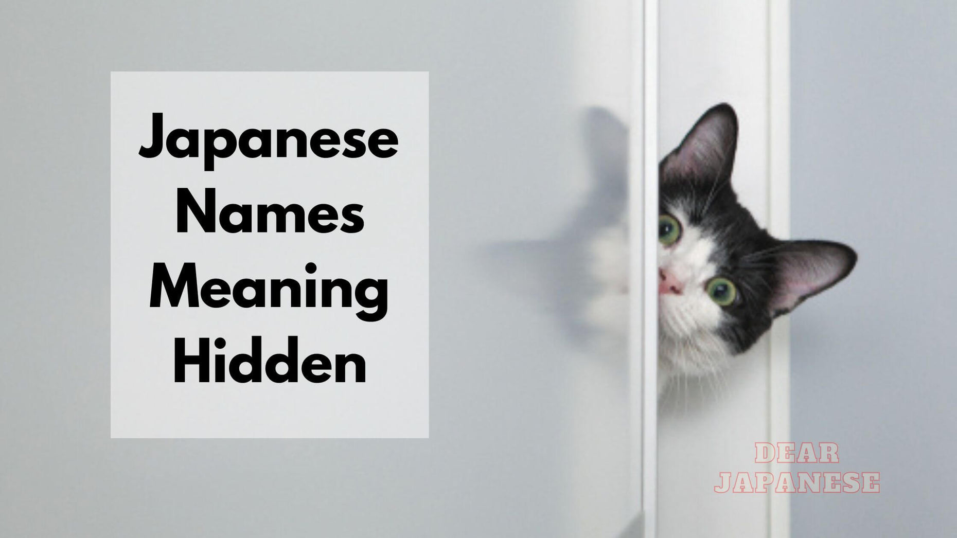 40 Japanese Names Meaning Hidden – Japan Truly